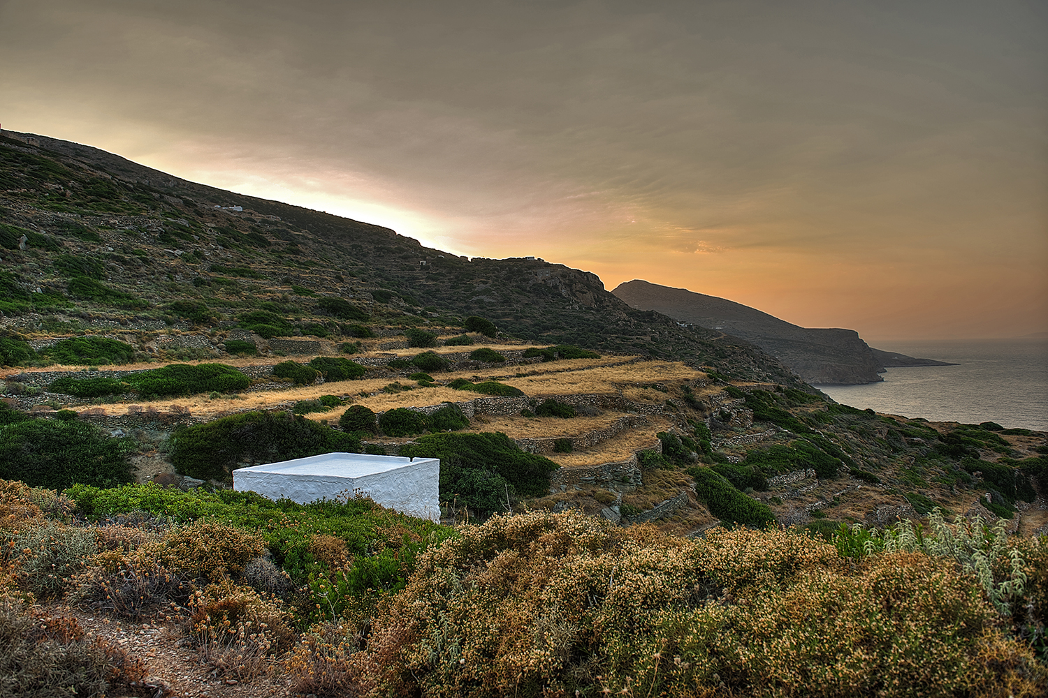 The Fitzwilliam Museum - Project Curator, Being An Islander