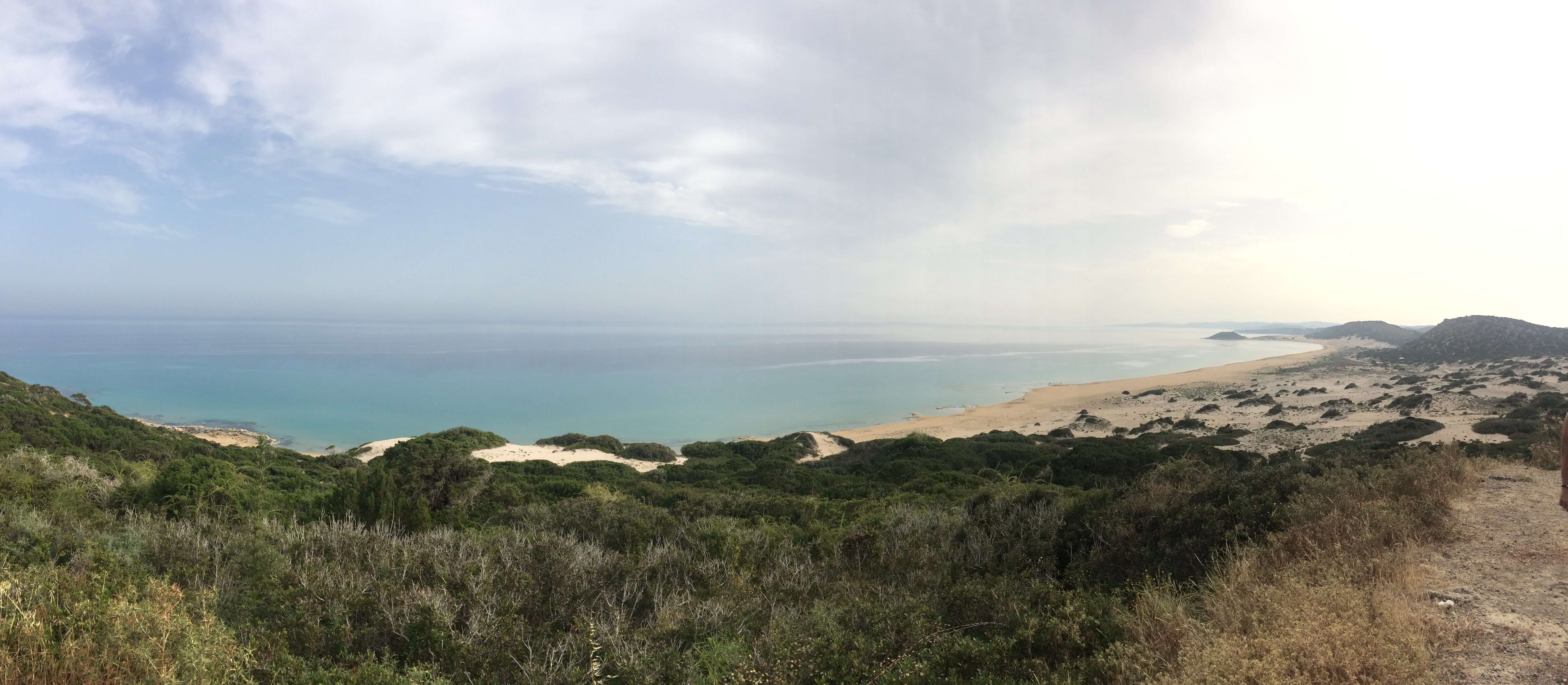 The Fitzwilliam Museum - Being an Islander: Art and Identity of the ...
